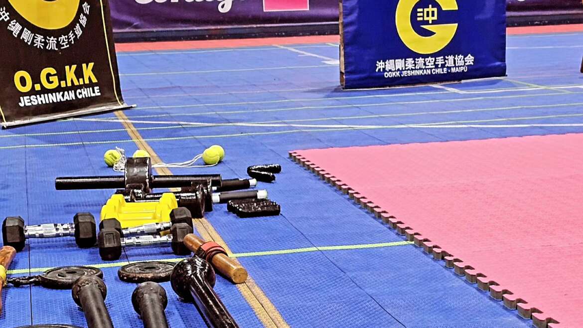 6° Gasshuku OGKK Jeshinkan Chile 2024: "¡Unidos en la pasión por las ...