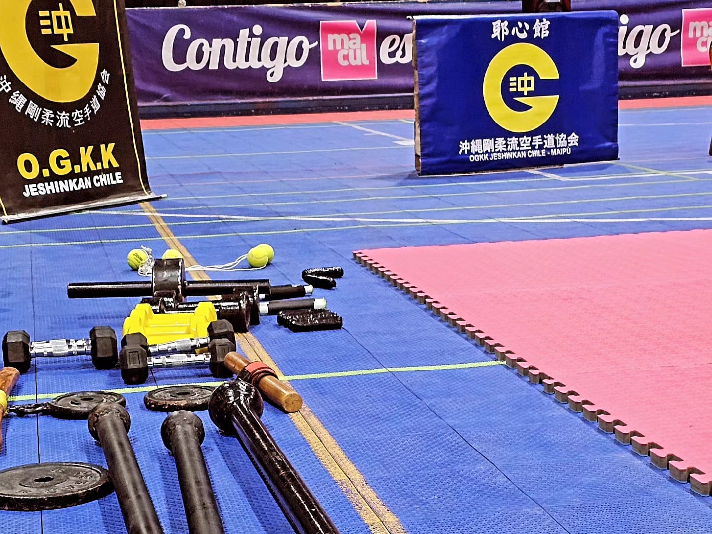 6° Gasshuku OGKK Jeshinkan Chile 2024: "¡Unidos en la pasión por las ...